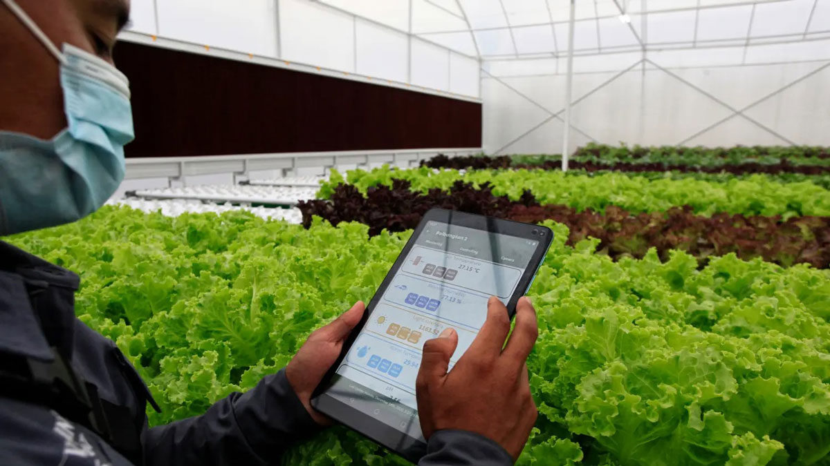 Fortifying the digital realm in food supply | Article | Hinrich Foundation Fortifying the digital realm in food supply | Article | Hinrich Foundation